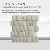 Canine Tan Stone Mosaic Tile Walls and Floor | Pebble Tile