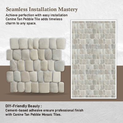 Canine Tan Stone Mosaic Tile Walls and Floor | Pebble Tile